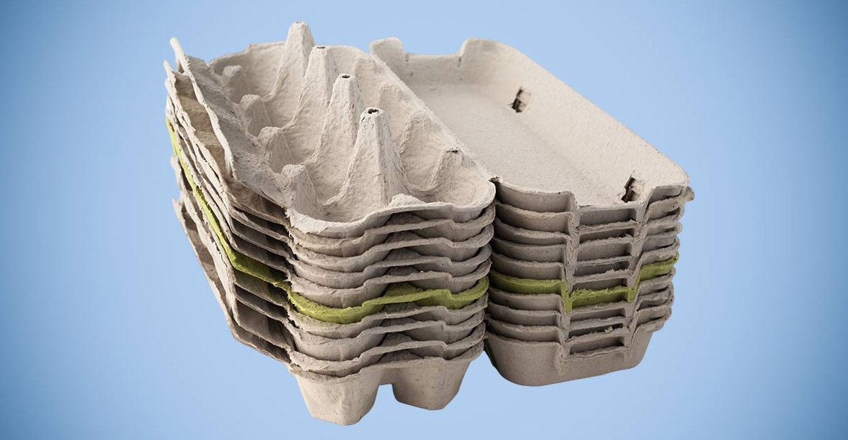 ბრძენი დიასახლისები კვერცხის ჩასაწყობ მუყაოს ფირფიტებს ინახავენ